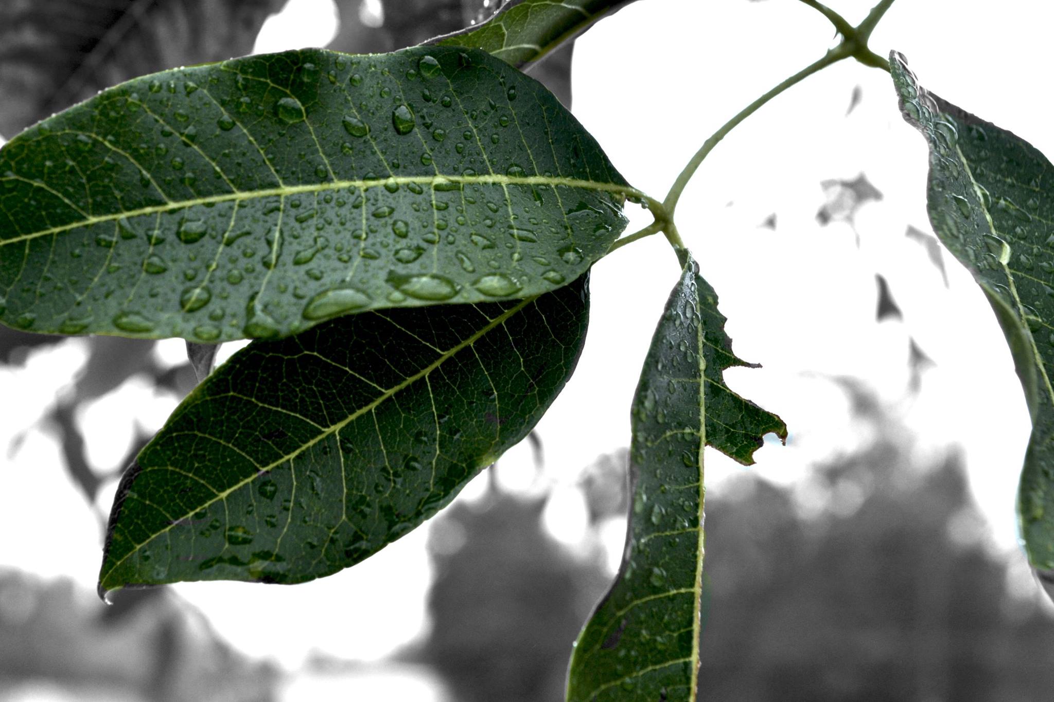 Gallery - New Photography Class Project